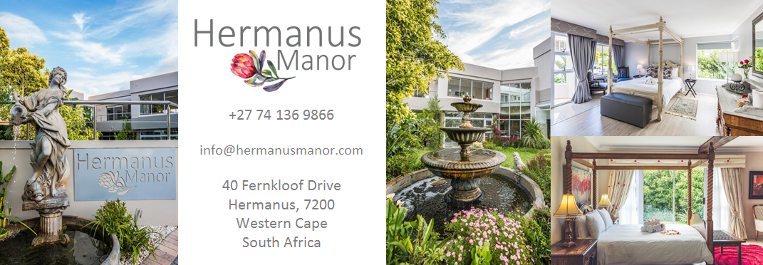 Misty Waves Hotel – Luxury Hotel accommodation in Hermanus